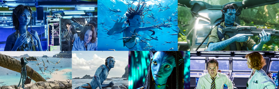 El azul: la historia cultural de un color que conquistó el arte y el ...